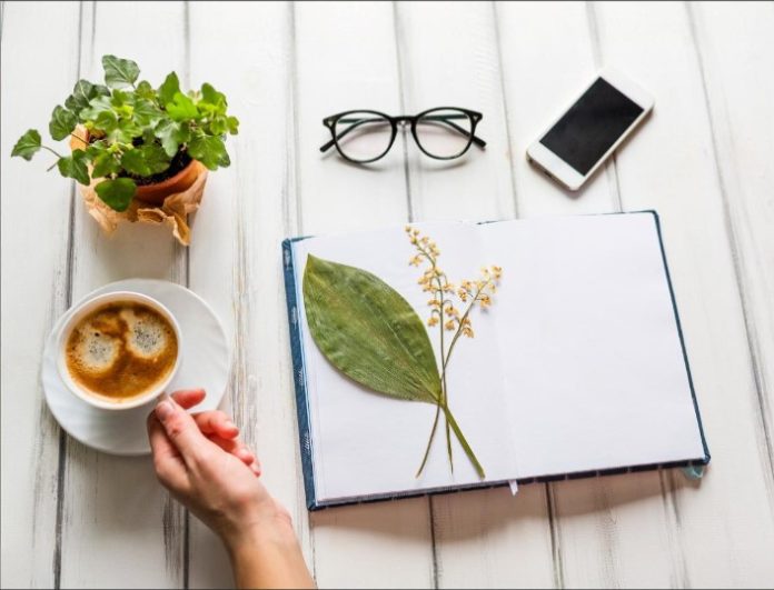 Ecosia: El Buscador Verde