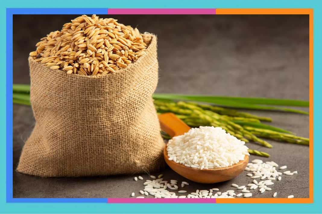 Día Internacional del Arroz: 31 de octubre